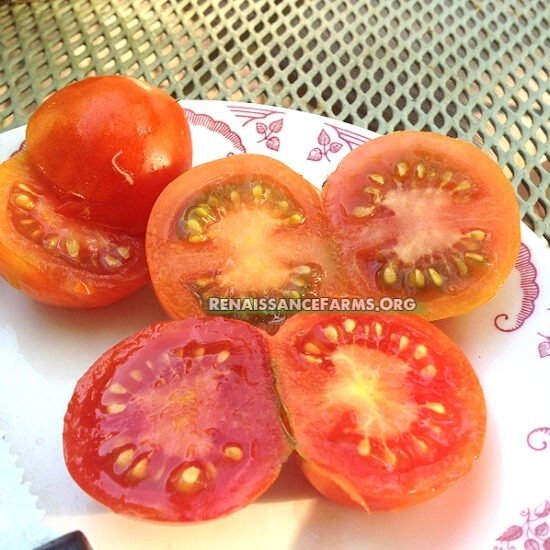Dwarf Tomatoes Archives | Heirloom Tomato Seeds