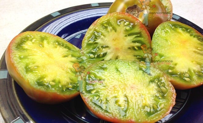 Dwarf Tomato Varieties Perfect For Kids | Heirloom Tomato Seeds