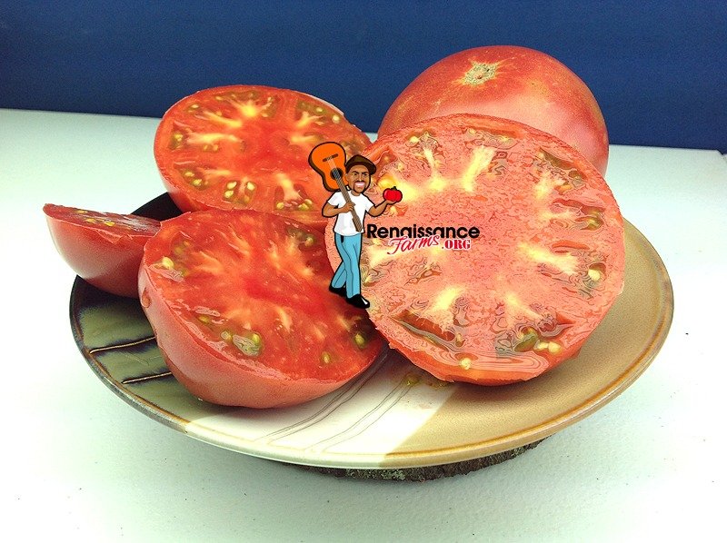 Dwarf Tomatoes-10 New Varieties For 2019 | Heirloom Tomato Seeds