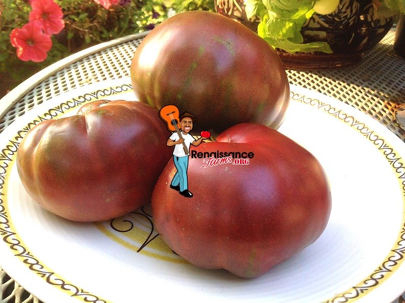 Tomato Gallery | Heirloom Tomato Seeds